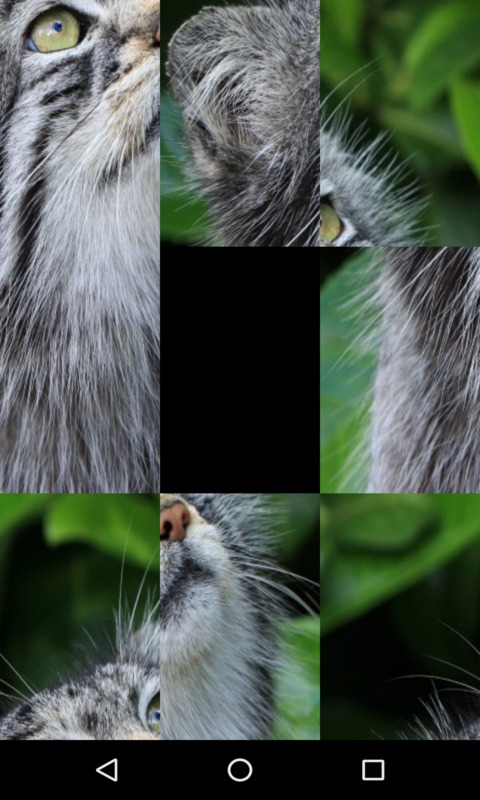 Cat puzzles - a fun and addictive puzzle game for kids and adults of ...