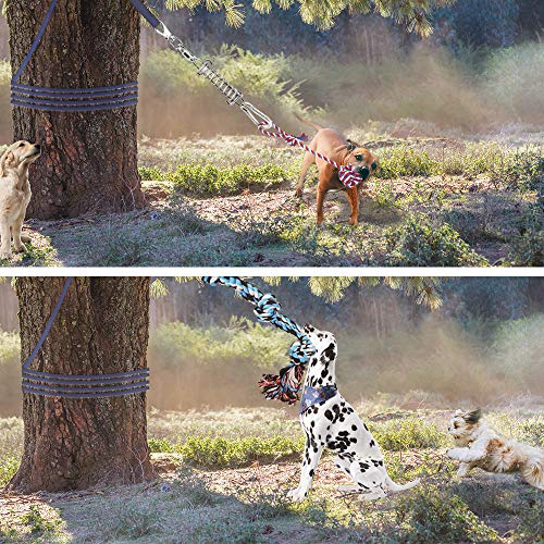 Spring Pole Dog Rope Toys with a Big Spring Pole Kit, 2 Different ...