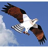 Amazon.com: Jackite Osprey Kite & Fiberglass Telescoping Pole : Toys ...