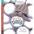 One Tiny Turtle: Read and Wonder: Davies, Nicola, Chapman, Jane ...