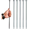 Amazon.com : FOMMEN Rebar Stakes 16 Inch Metal Spikes for Asphalt 1/2 ...