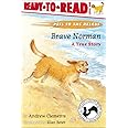 Brave Norman : A True Story by Clements, Andrew