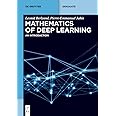 Mathematics of Deep Learning: An Introduction (De Gruyter Textbook): Berlyand, Leonid, Jabin ...