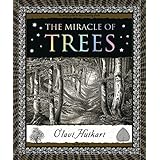 Grammar: The Structure of Language (Wooden Books): Grenon, Rachel: 9780802743589: Amazon.com: Books