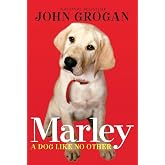 DOG LIKE LLOYD, A: Jacqueline Sheehan: 9781785034510: Amazon.com: Books
