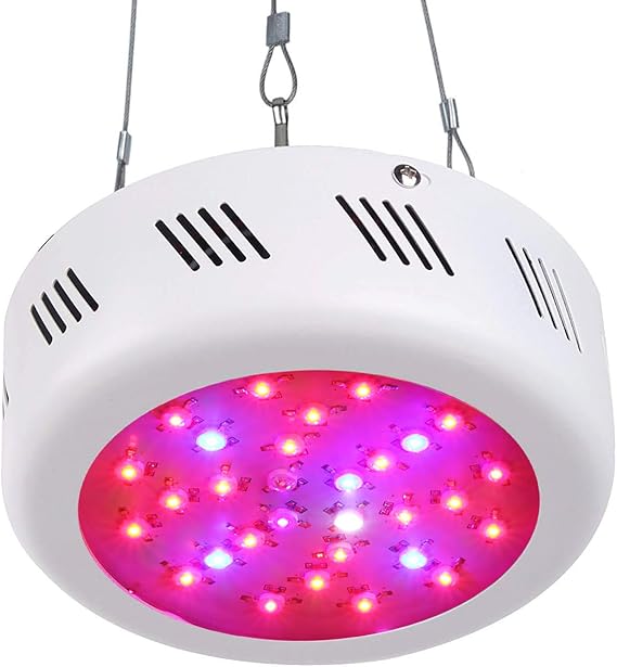 Roleadro LED Grow Light 300W UFO Lampade LED Coltivazione Indoor 6 ...