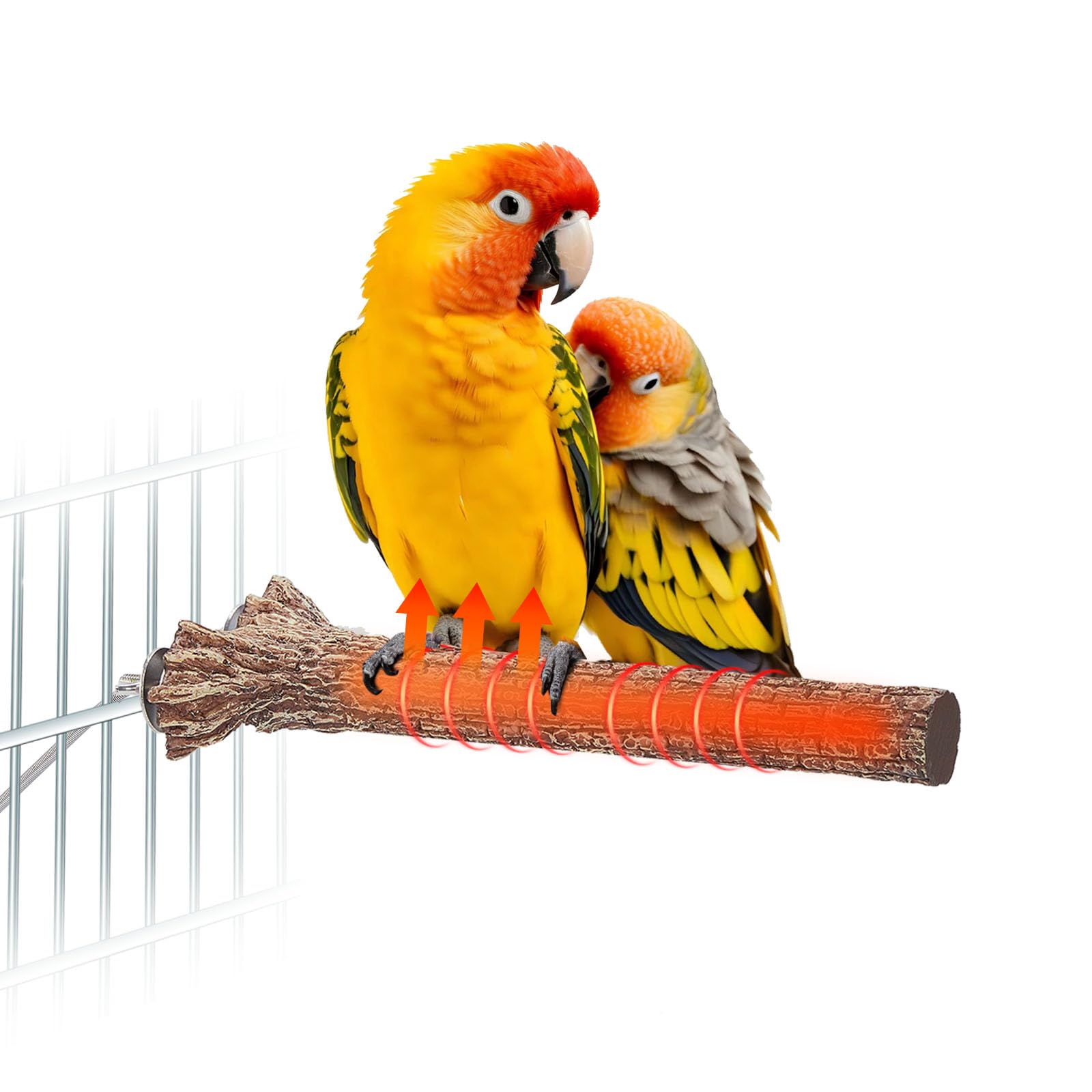 Heated Bird Perch, Thermostatical Bird Cage Heater, Bird Warmer ...