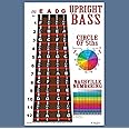 Amazon.com: Upright Bass Fingerboard Instructional Poster 4 String Bass ...