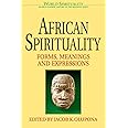 African Spirituality: Forms, Meanings and Expressions (World ...