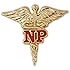 Amazon.com: NursingPin - Nurse Practitioner NP Graduation Nursing Pin ...