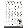 Amazon.com : STOTT PILATES Wall Chart - Advanced Reformer : Fitness ...