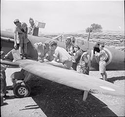 Malta Spitfire Pilot: Amazon.co.uk: Denis Barnham: 9781848325609: Books