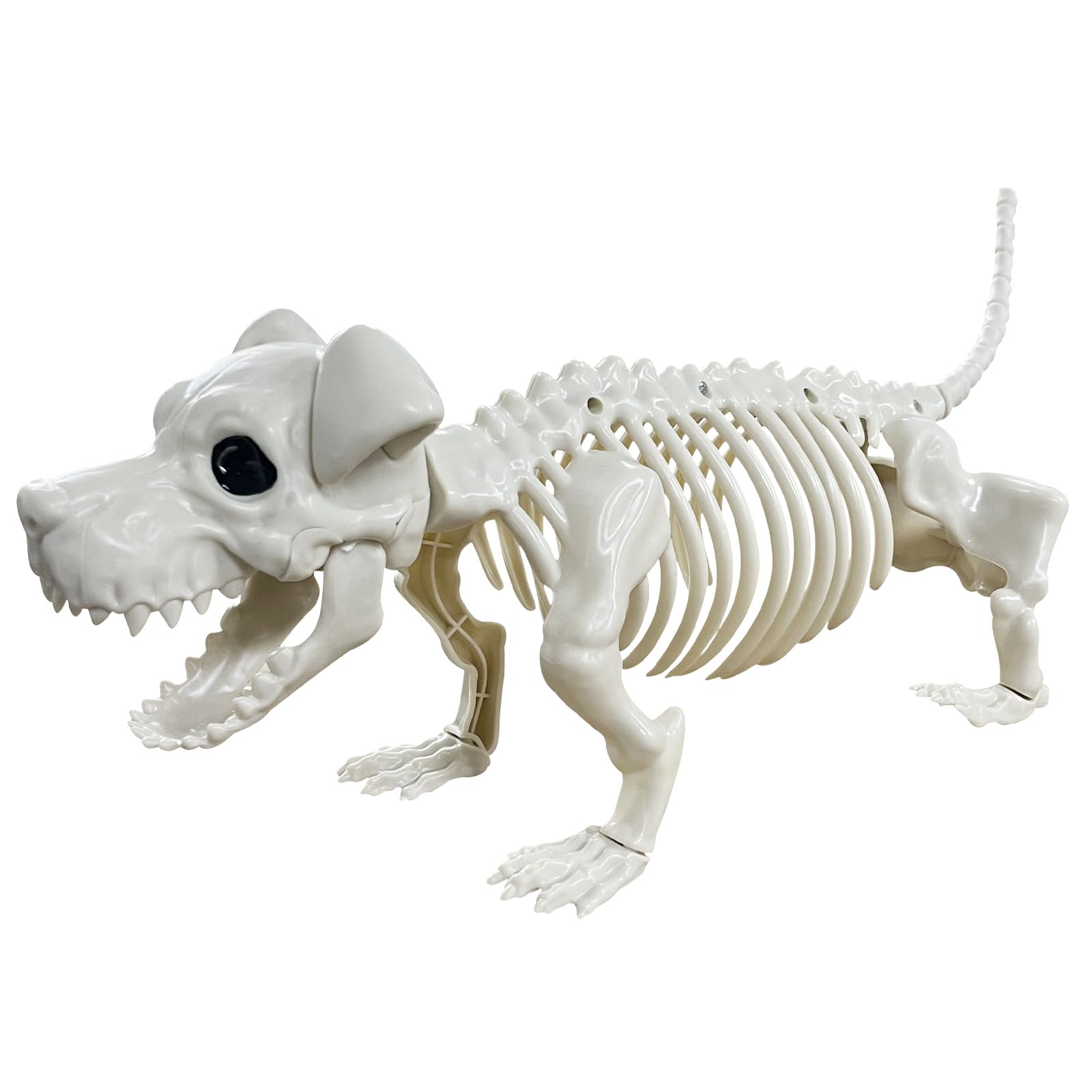 Mua Halloween Skeleton 19” Pose-N-Stay Puppy Skeleton Plastic Dog Bones ...