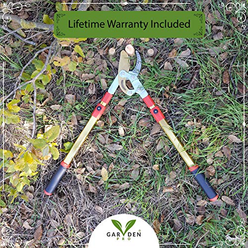 Professional Titanium Telescoping Loppers, Anvil Hedge Clippers, Tree ...