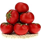 Amazon.com: Healvian Artificial Lifelike Tomato Models 5Pcs Faux ...