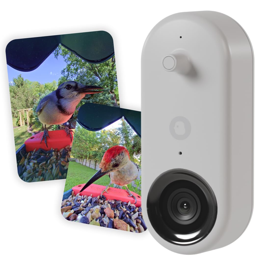 leather | Nellis Auction