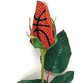 Amazon.com: Personalized Basketball Rose - Handmade, Original Design by ...