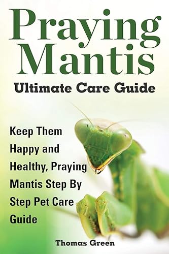 Praying Mantis Ultimate Care Guide in Oman | Whizz Insects & Spiders
