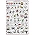 Amazon.com: Laminated Arachnida Spiders Educational Science Chart ...