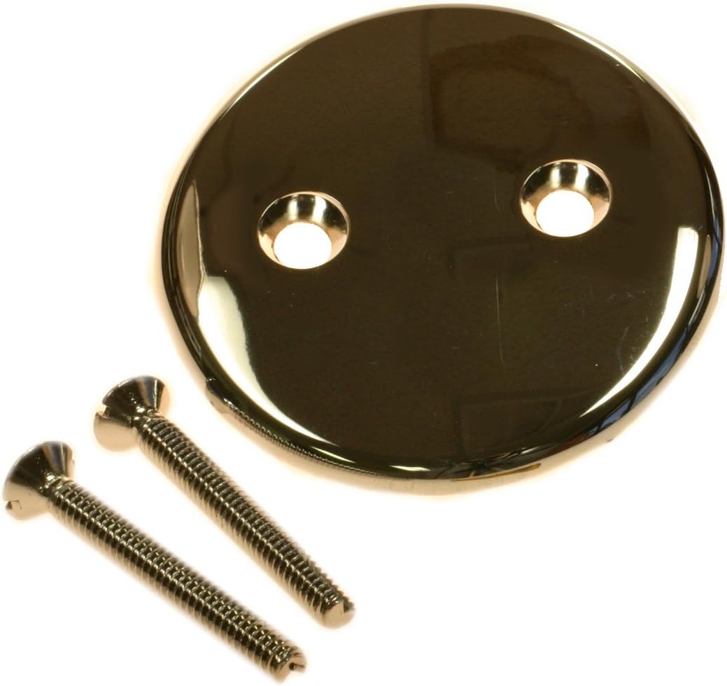 Amazon.com: Plumber's Choice 22792 Double Hole Face Plate for Waste and ...