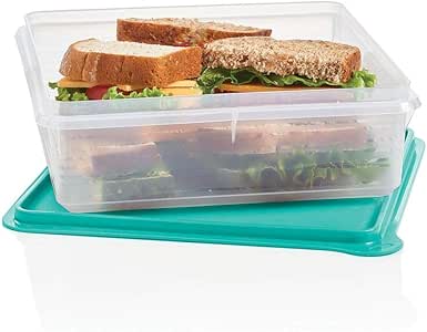 Amazon.com: Tupperware Snack N Stor Container: Home & Kitchen