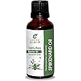 Amazon.com: Spikenard Oil -(Nardostachys Jatamansi)- Essential Oil 100% Pure Natural Undiluted ...
