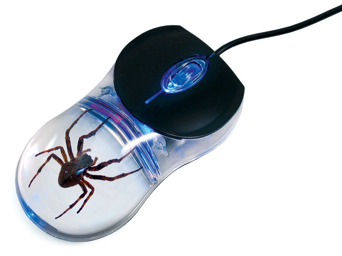 Amazon.com: Spider Computer Mouse: Industrial & Scientific