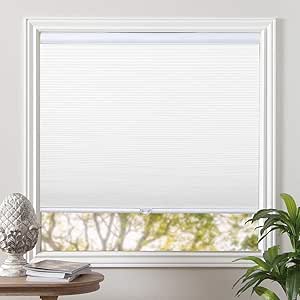 Amazon.com: Grandekor Blackout Window Blinds and Shdes Cordless ...