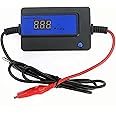 Amazon.com: utipower Auto Pulse 400AH Lead Acid Battery Desulfator ...