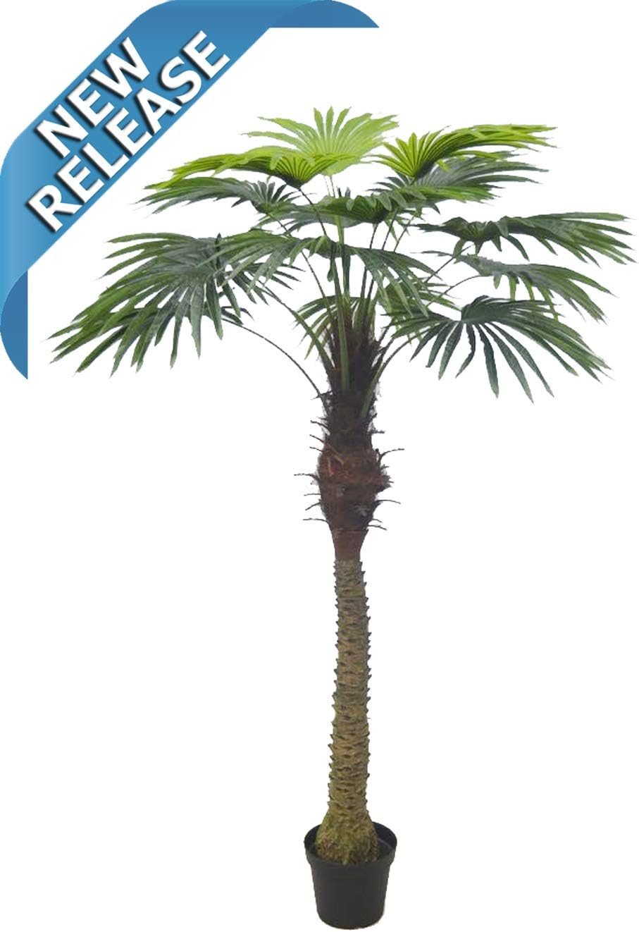 Amazon.com: AMERIQUE Gorgeous 6.7 Feet Tropical Fan Palm Artificial ...