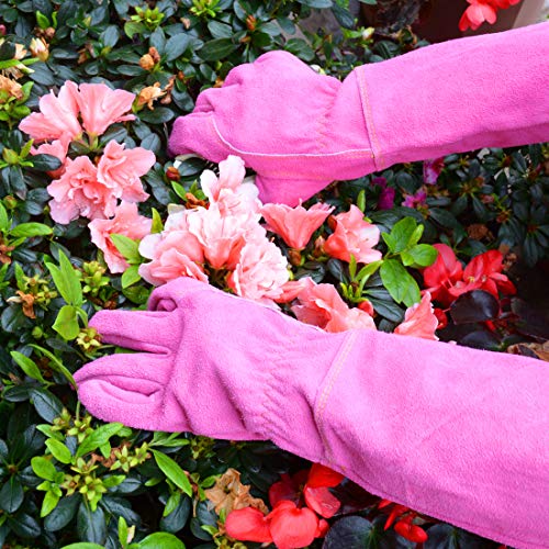 Rose Pruning Gloves for Women Long Sleeve Thorn Proof Cowhide Leather Gardening Gloves Gauntlet ...