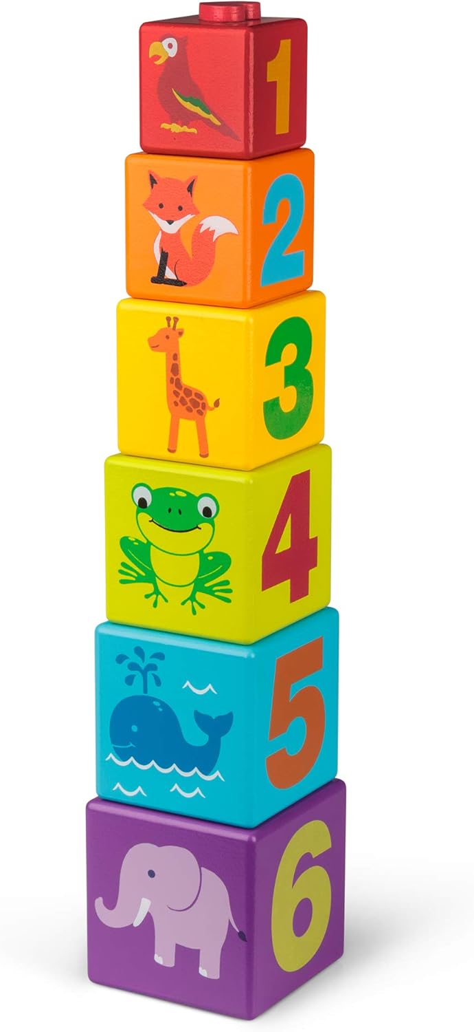 Tobar Wooden Shape Sorting Stacking Building Blocks – BigaMart