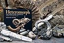 Heteromorph: The Rarest Fossil Ammonites: Nature at its Most Bizarre ...