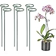 Amazon.com : MAXXPORT Plant Stakes for Indoor Plants,Garden Single stem ...
