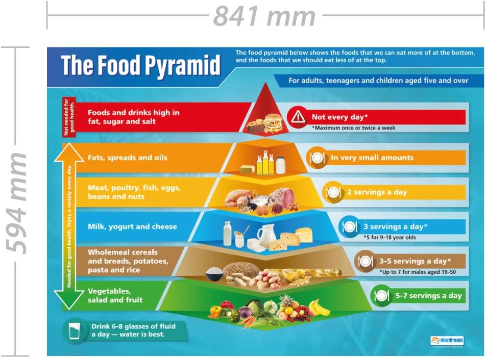 Food Pyramid | Science Posters | Gloss Paper measuring 850mm x 594mm ...