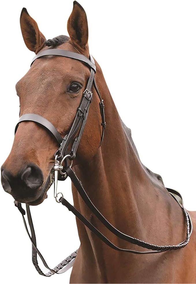 Kincade Leder Show Weymouth Zaumzeug II: Amazon.de: Bekleidung