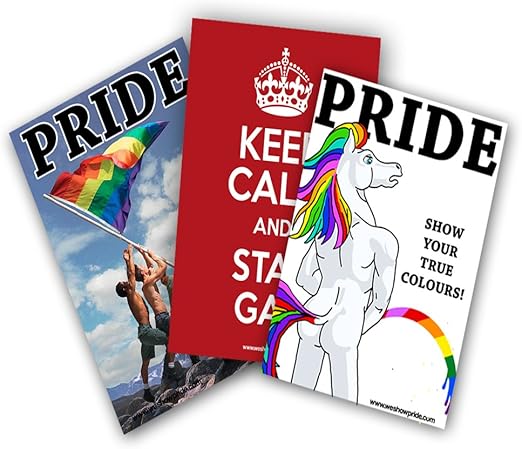 Gay Pride Fun LGBT Funny Poster Prints (Pack of 3): Amazon.co.uk ...