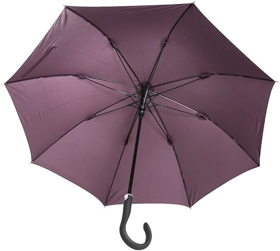 Amazon.com: Security Umbrella for women - protect yourself