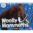 Woolly Mammoths (Ice Age Animals): Higgins, Melissa, Saunders-Smith ...