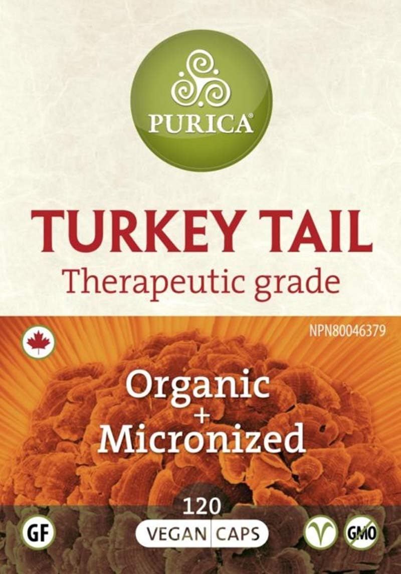 Amazon.com: PURICA 500mg Coriolus Yunzhi Mushroom(Turkey Tail) 120 ...