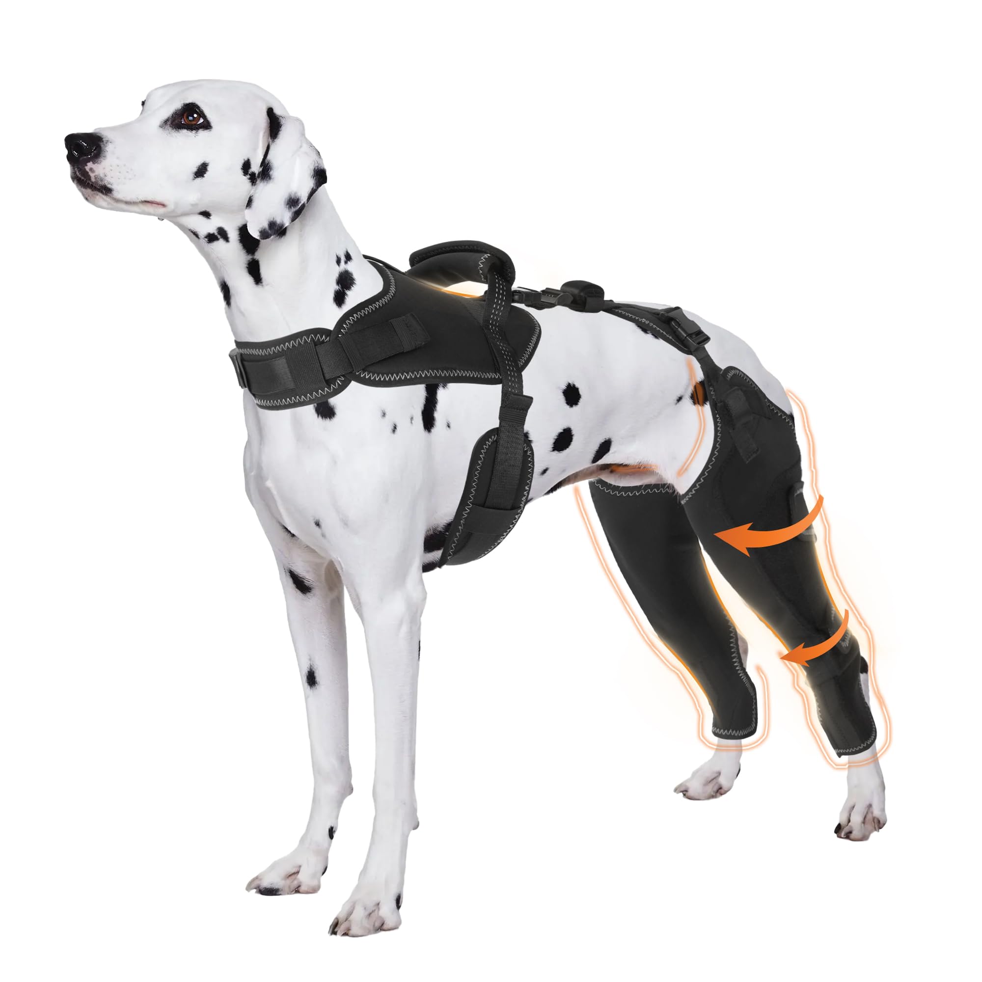 Dog Acl Brace Hind Leg - Keeps Joints Warm and Protection, Upgraded ...