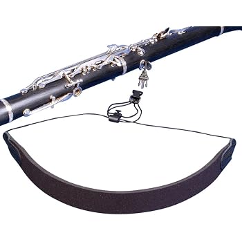 Amazon.com: Neotech Classic Strap 2-Hook - Padded Neck Strap for Bass ...