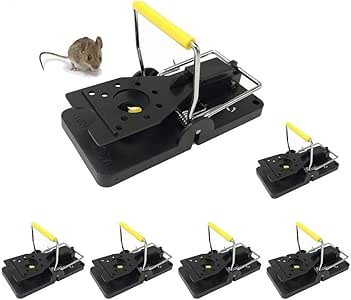 Amazon.com : Buyplus Mouse Traps - Snap Mouse Trap, Mice Trap, Metal ...
