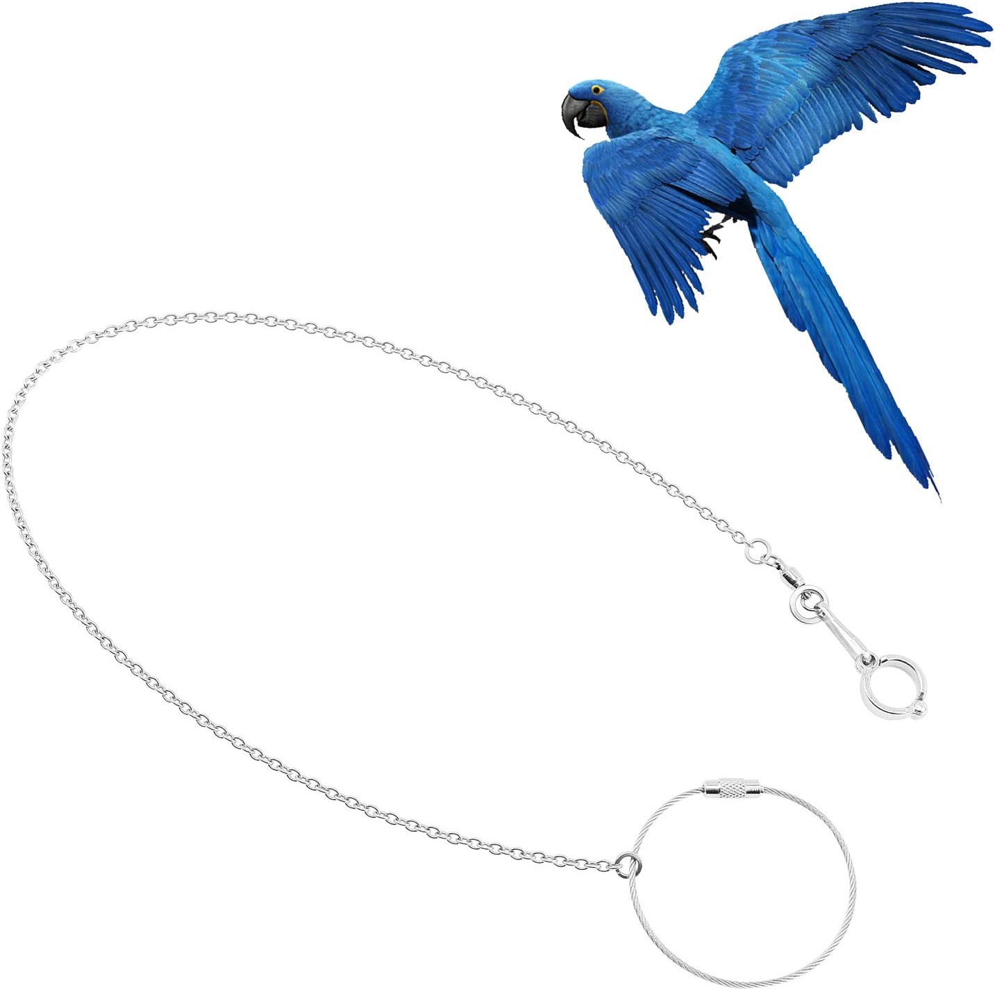 AHANDMAKER Pet Bird Parrot Foot Chain, Stainless Steel Bird Foot Stand ...
