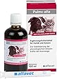 cdVet Naturprodukte HustaVet BronchialVital Hund 100 ml: Amazon.de ...