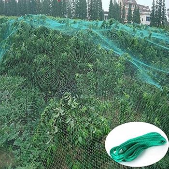 Amazon.com : 33-Ft x 6.5 Ft Garden Plant Netting Protect Against ...