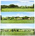 Gaugemaster GM-GM703 2744 x 304 mm Open Field Back Scene (Large ...