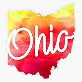 Amazon.com - Ohio Vinyl Waterproof Sticker Decal Car Laptop Wall Window ...