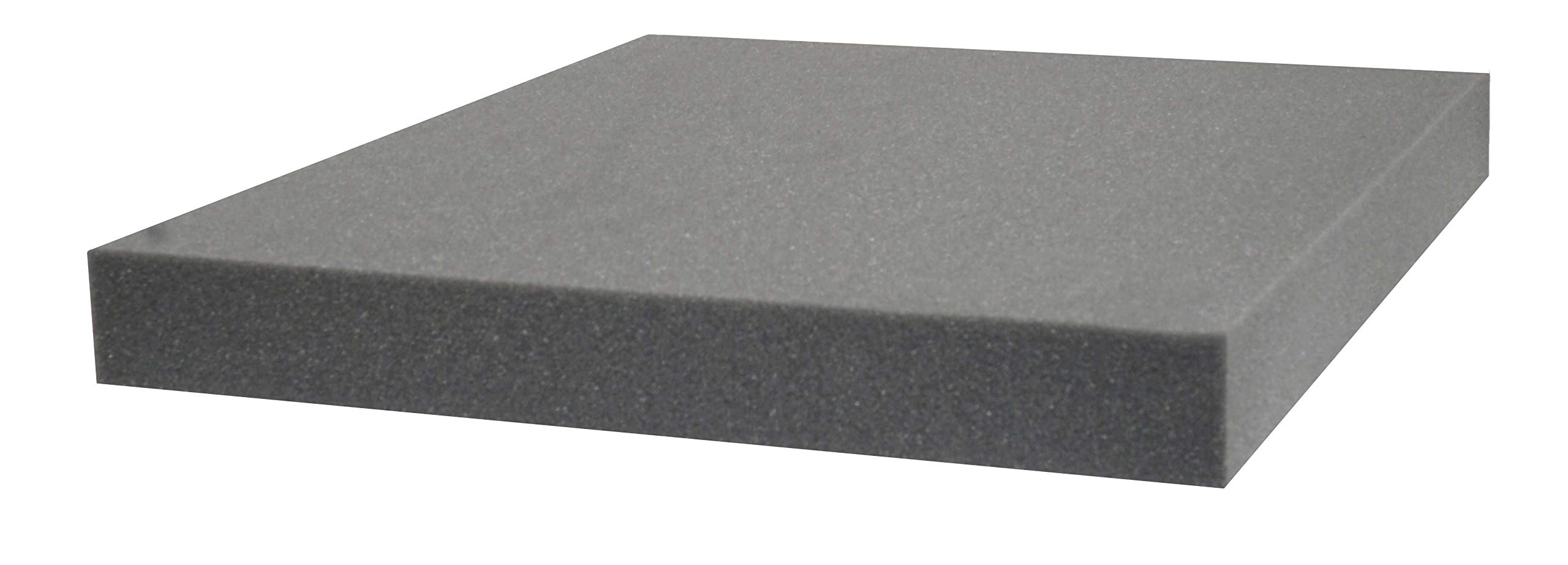 Mua Case Club Customizable (PU) Polyurethane Foam 18 x 16 x 2.0 Inches ...