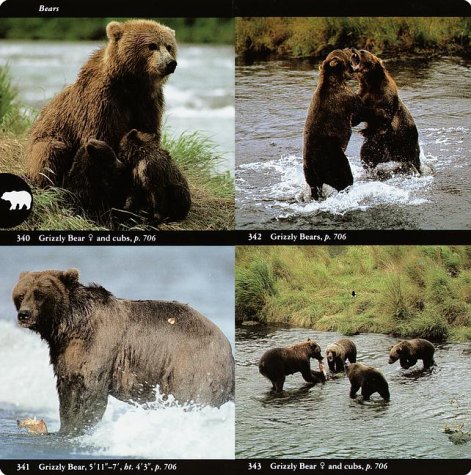 National Audubon Society Field Guide to North American Mammals ...